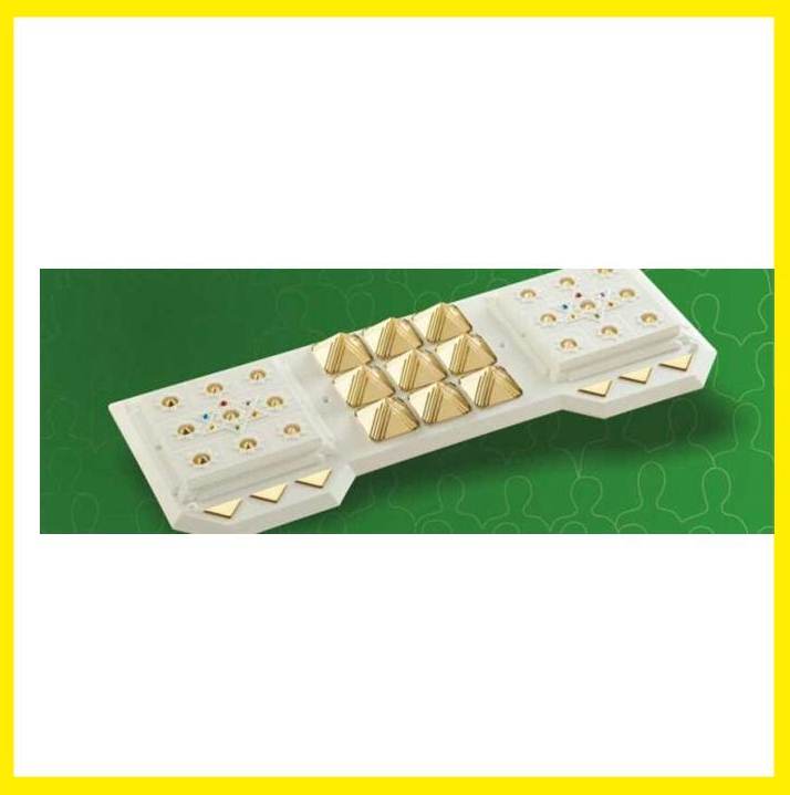 FORTUNE DOOR GOLD IS A PYRAMID VASTU YANTRA TO ATTREACT FORTUNE IN VAS ...